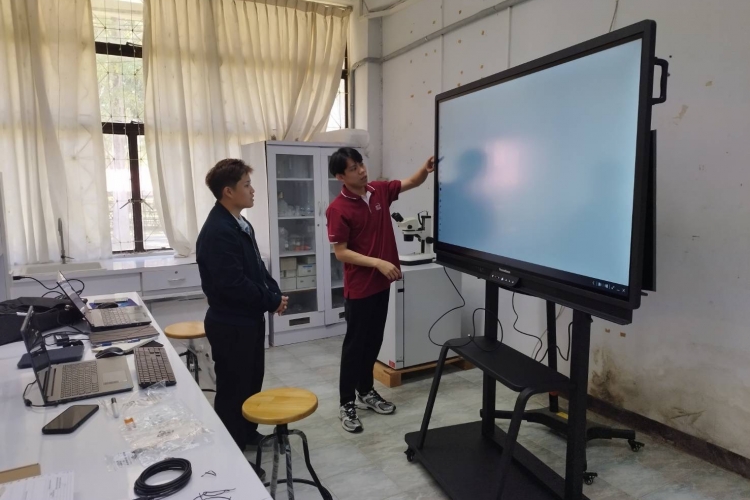 Hollywood International Ltd. › Delivered and installed the Promethean ...