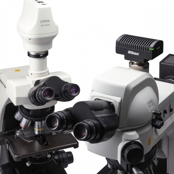Hollywood International Ltd. › Digital Sight DS-Ri2
